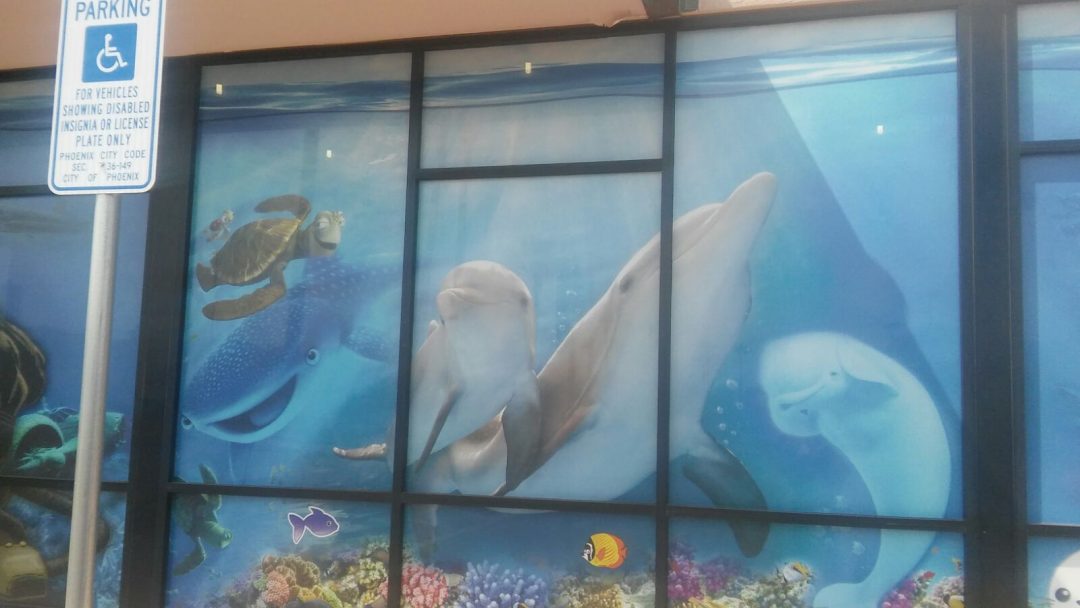 Window graphics printing Phoenix AZ. Window graphics full color